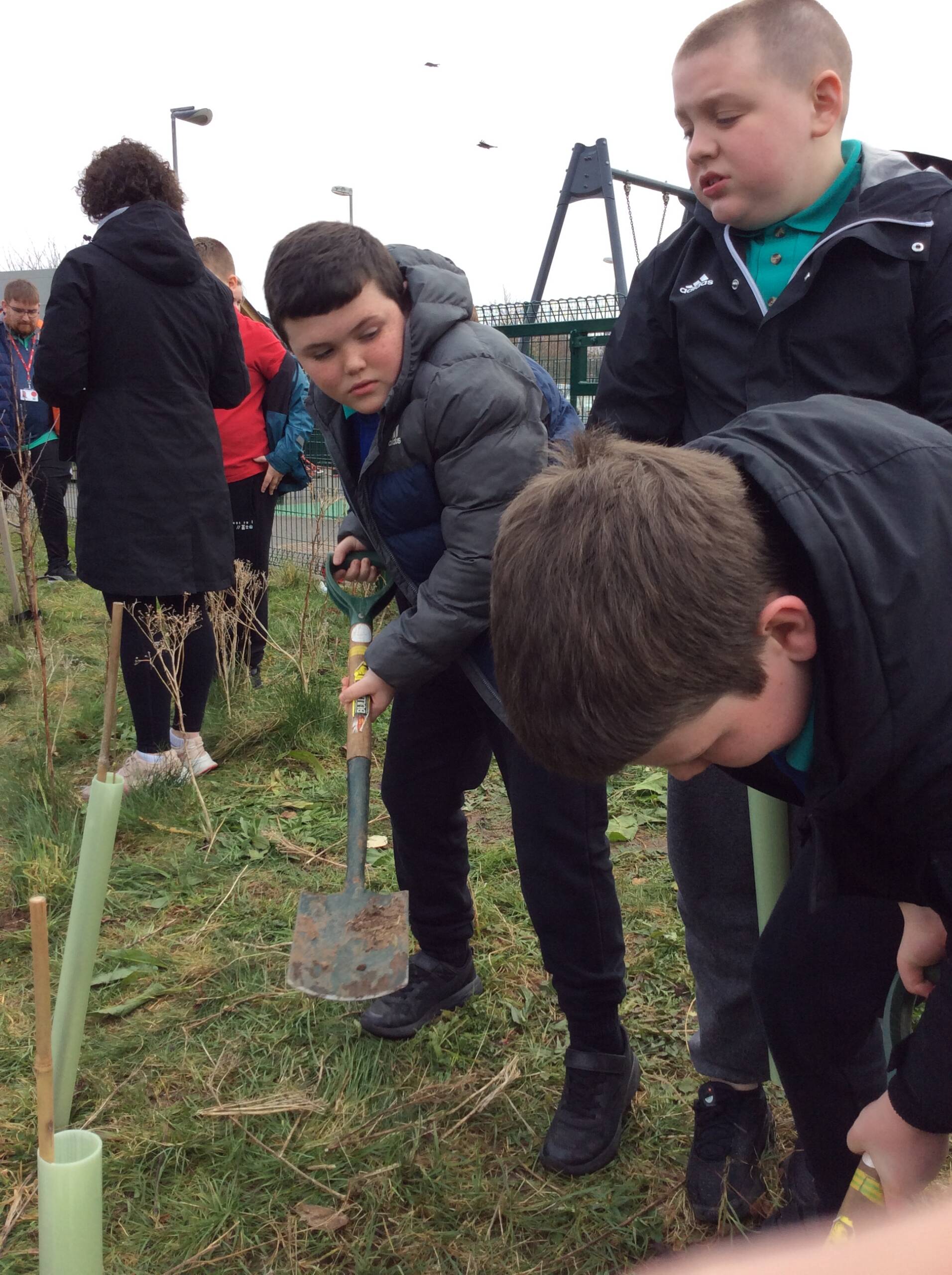 One Million Trees for Schools - Belfast Hills